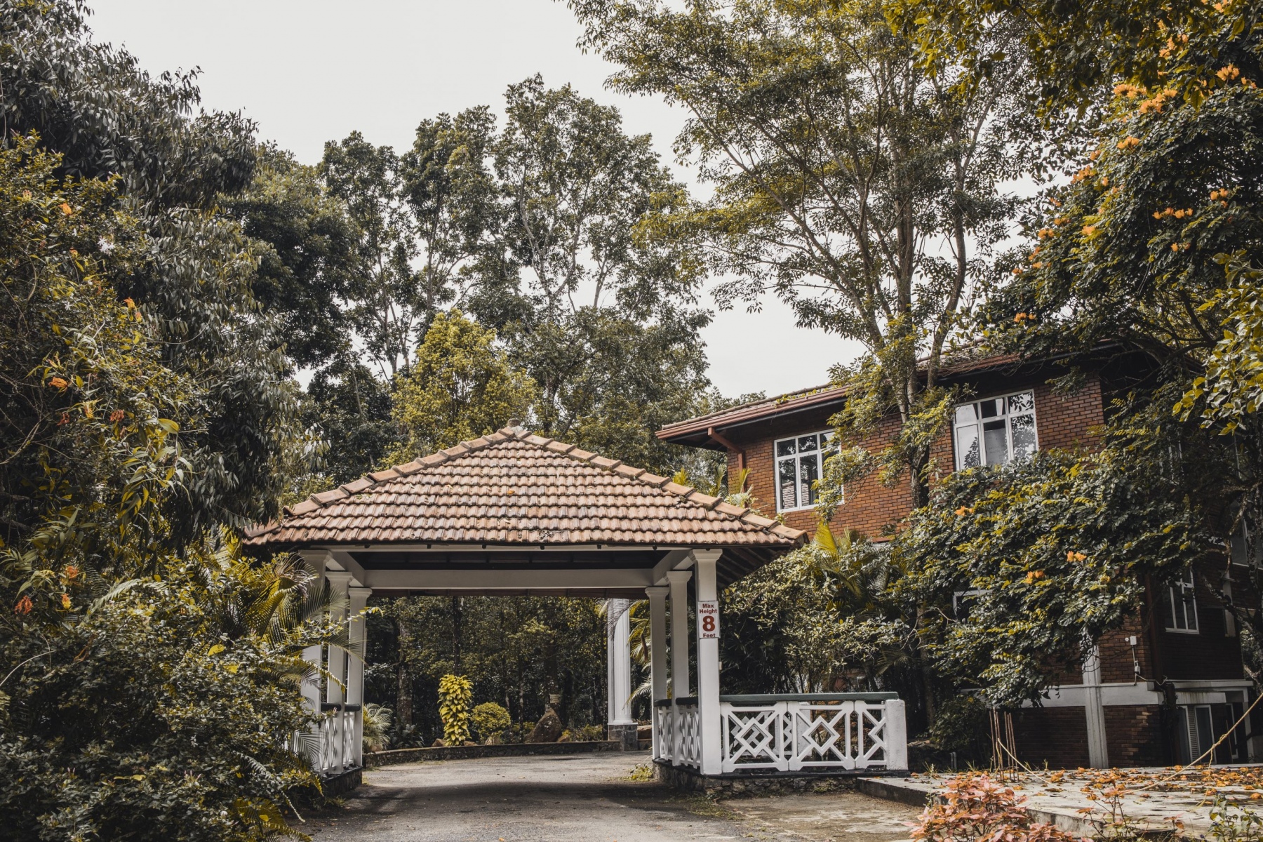 Hotel Tree of life, Kandy, Sri Lanka Official Online Booking Page